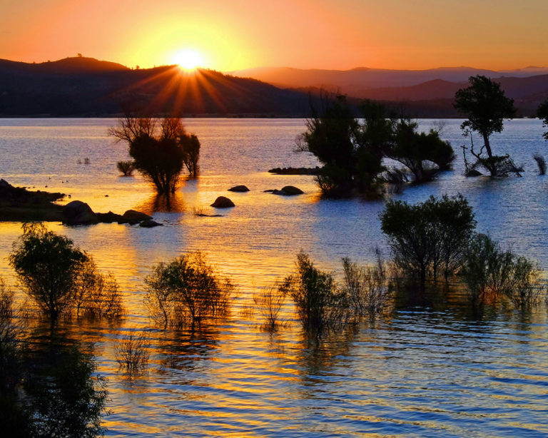 Natural History of Folsom Lake SRA – FOLFAN
